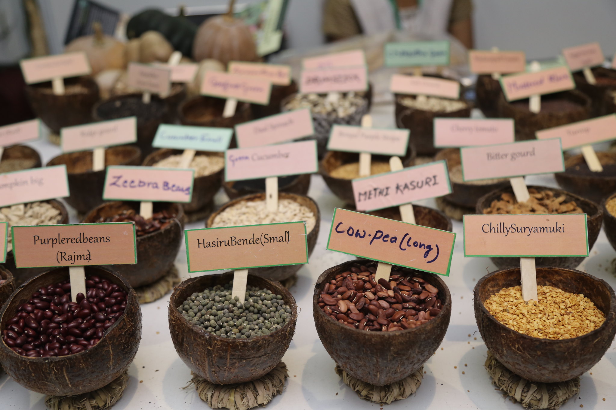 OFAI – India's biggest network of organic farmers