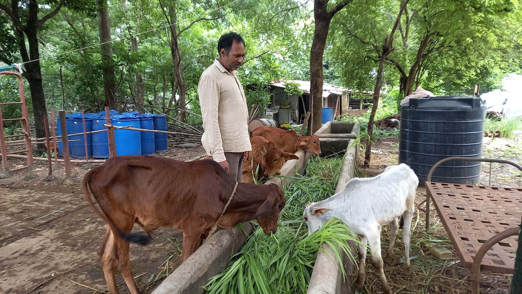 OFAI – India's biggest network of organic farmers