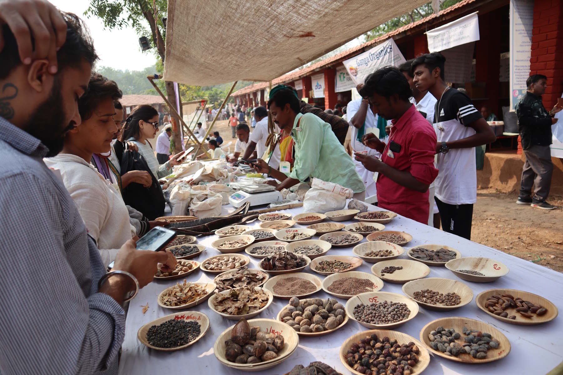 OFAI – India's biggest network of organic farmers